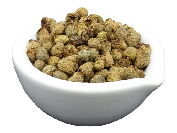 Rubi Fructus / FU PEN ZI: Infos & TCM-Versand - Startpunkt